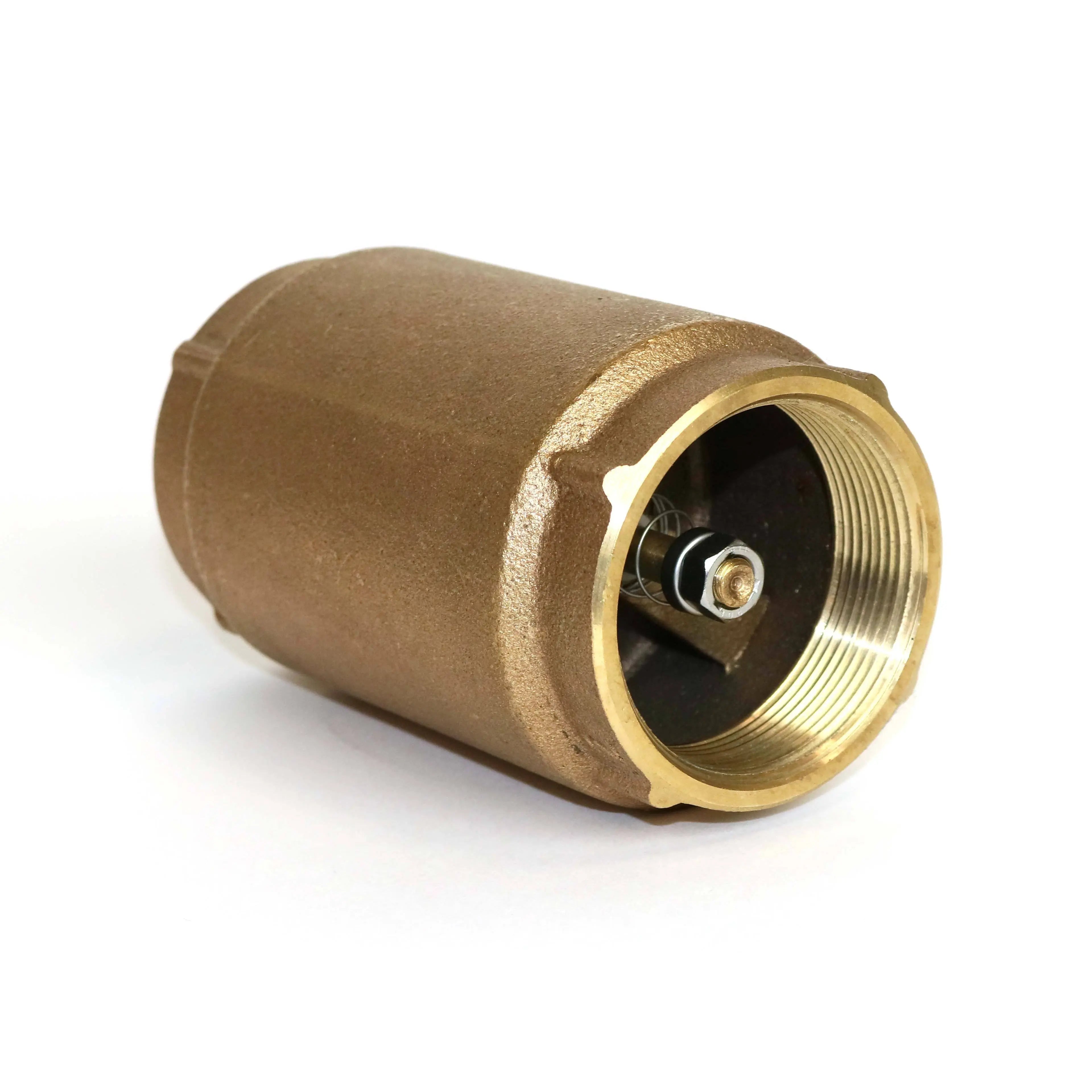 Dustless Blasting® 2" Check Valve